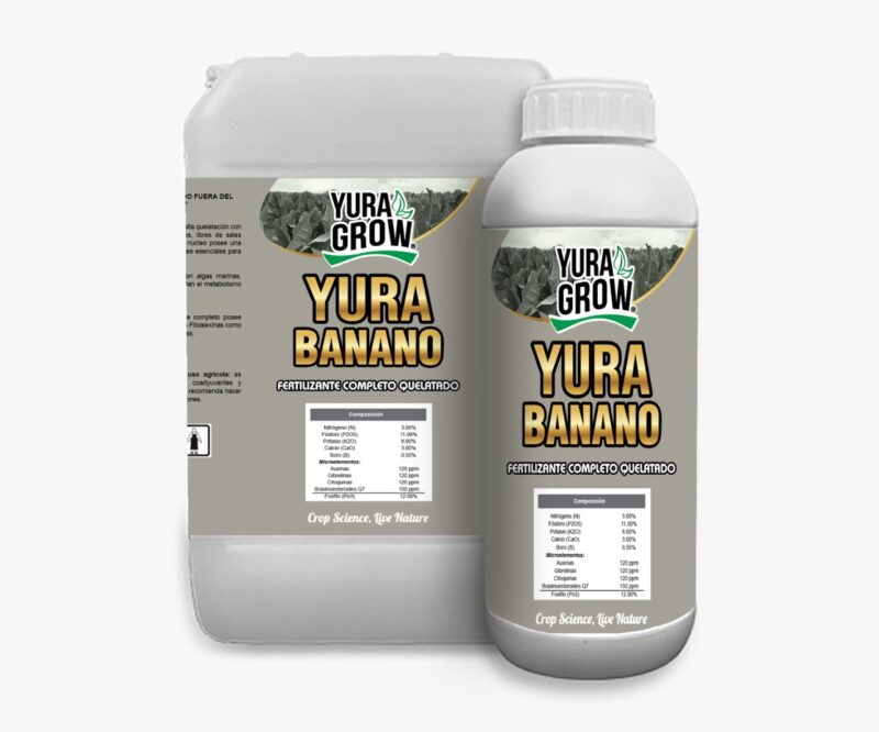 YURA BANANO - Yuragrow